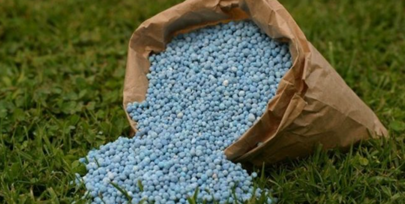 L'Algérie renforce la coopération agricole avec le Kenya en offrant un ...